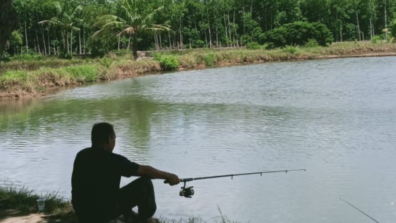 Mancing Bandeng di Borongkalukua Maros Yuk, Bisa Sambil Lihat Mangrove ...