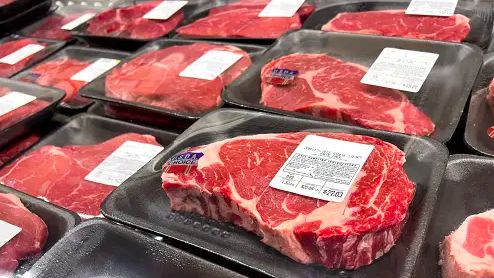 Cara Mudah Memilih Daging Sapi yang Berkualitas - ERA.ID