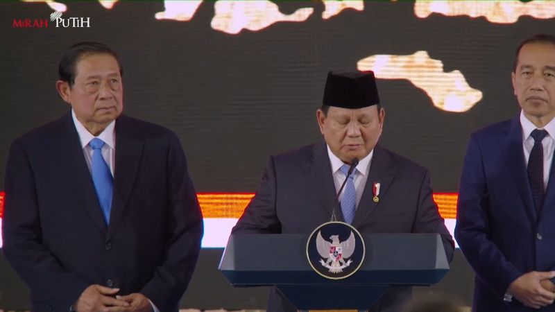 Mantan Presiden dan Wakil Presiden jadi Penasihat Danantara, Megawati Diajak? - ERA.ID