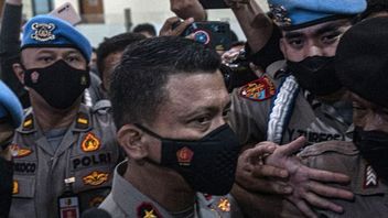 Sejarah Kumis Sikat Gigi yang Lekat dengan Sosok Adolf Hitler dan ...