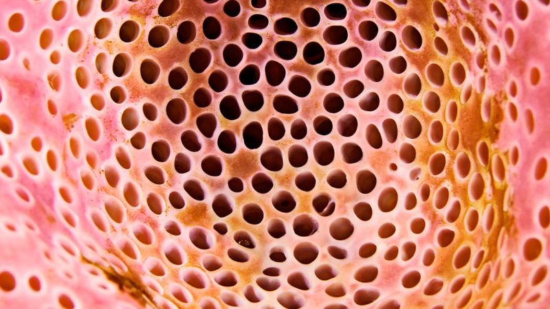 Apa Itu Tryphobia? Simak Penjelasan, Penyebab, Gejala, Diagnosis, dan ...