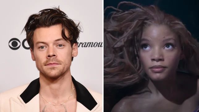 Pilih Main di Film Olivia Wilde, Harry Styles Tolak Tawaran Jadi ...
