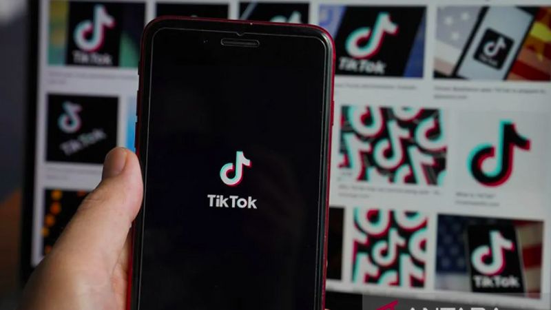 TikTok Uji Coba Fitur Baru Sub Space, Apa Fungsinya? - ERA.ID