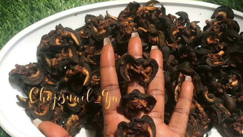 Semut Merah Hingga Bayi Hiu, Inilah 6 Makanan India yang Luar Biasa ...