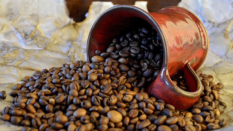 Ciri-Ciri Kopi Robusta yang Paling Terlihat dan Perlu Anda Ketahui - ERA.ID