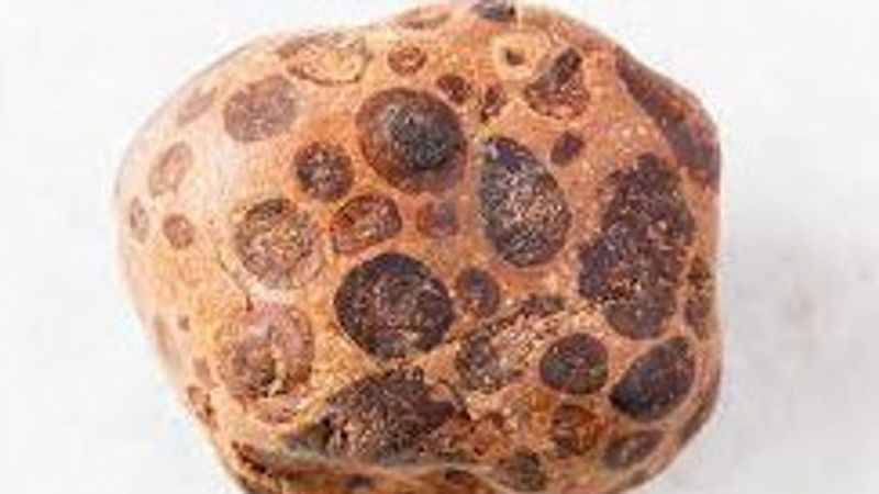 Beberapa Negara Penghasil Bauksit Terbesar di Dunia, Beserta Fungsinya ...