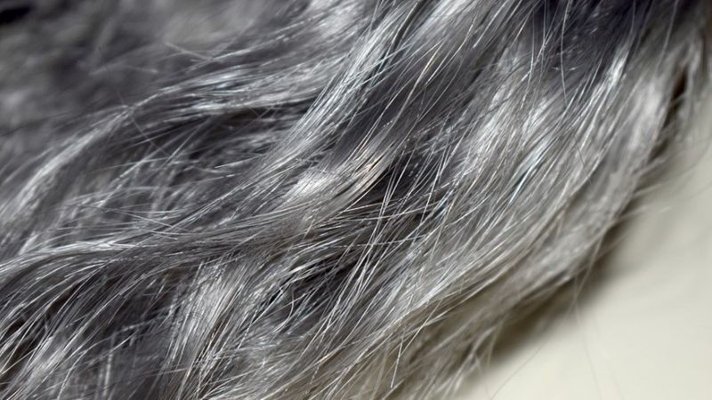 6 Penyebab Tumbuh Uban di Usia Muda, Mungkin Salah Satunya Anda Alami - ERA.ID