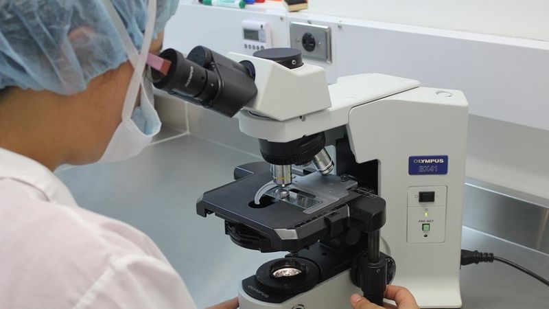 Mengenal Apa Itu Terapi Stem Cell yang Bisa Menyembuhkan Berbagai ...