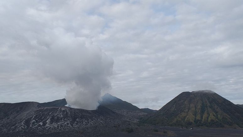 Aktivitas Vulkanik di Gunung Bromo Meningkat, Statusnya Waspada karena ...